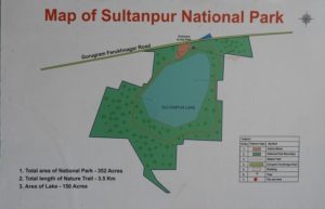 Sultanpur National Park Timings 2025, Tickets Price, Best Time to Visit